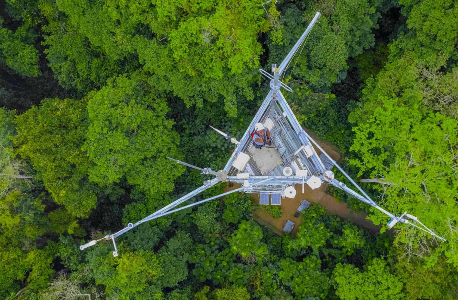 Home | Congo Basin Science Initiative