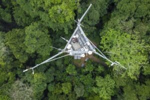 Home | Congo Basin Science Initiative