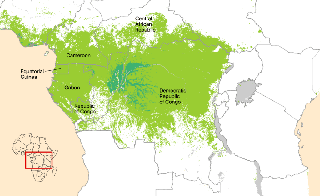 Facts | Congo Basin Science Initiative