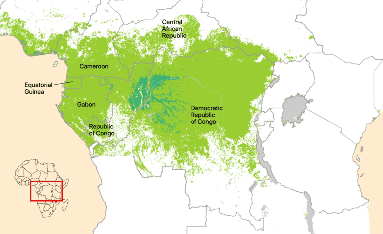 Facts | Congo Basin Science Initiative