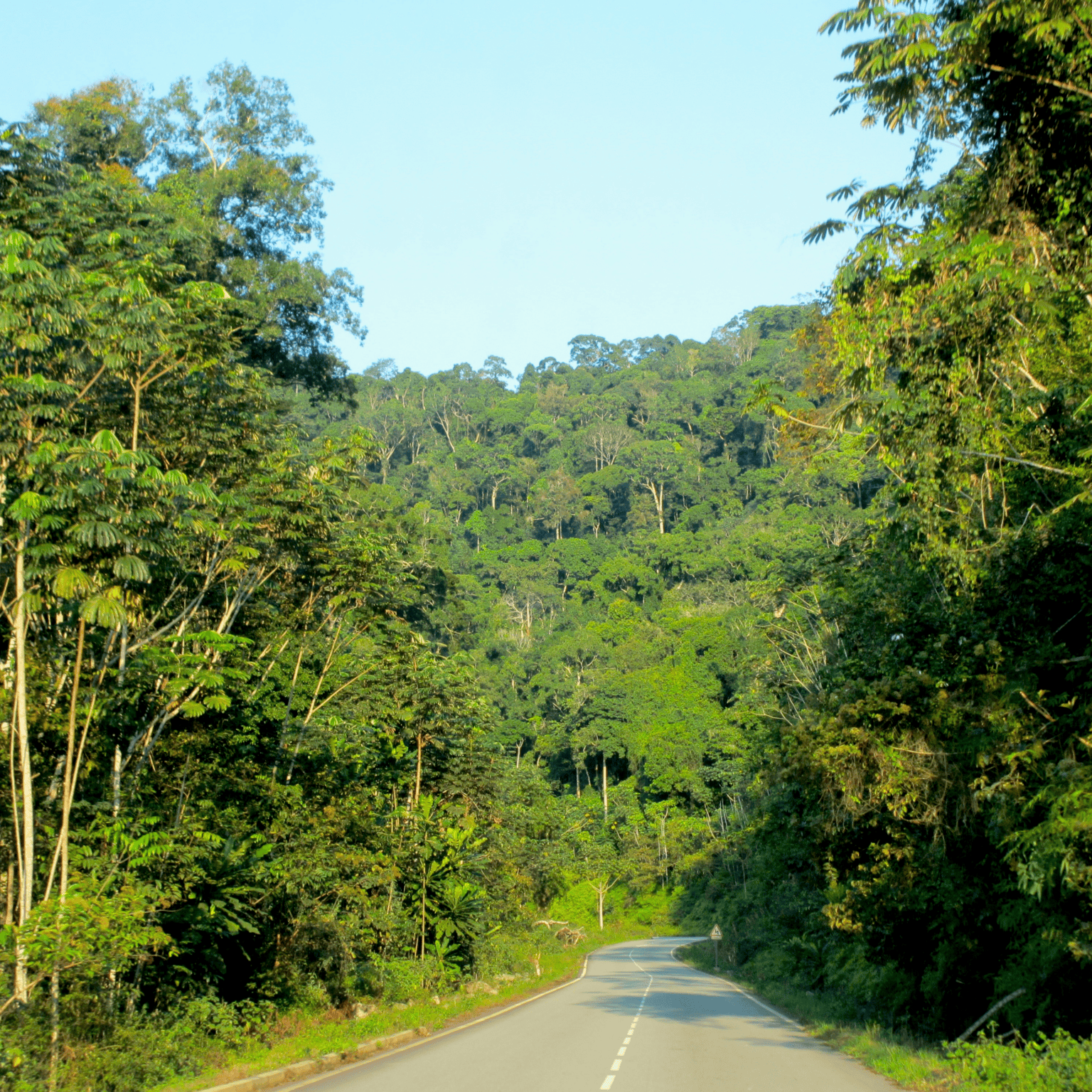 Scholarships | Congo Basin Science Initiative