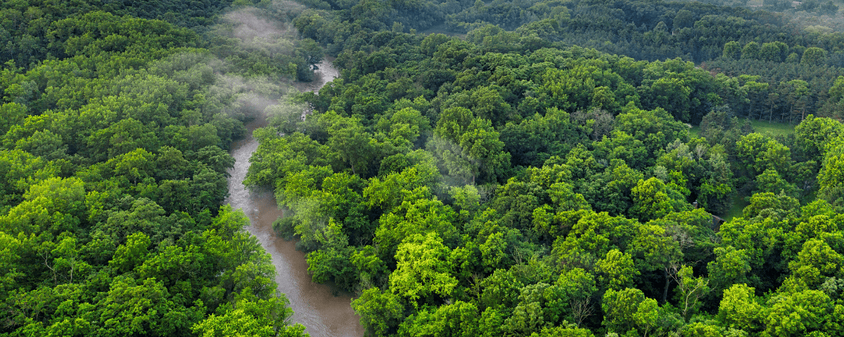 First CBSI Annual Conference, 7 - 9 January 2026 | Congo Basin Science ...